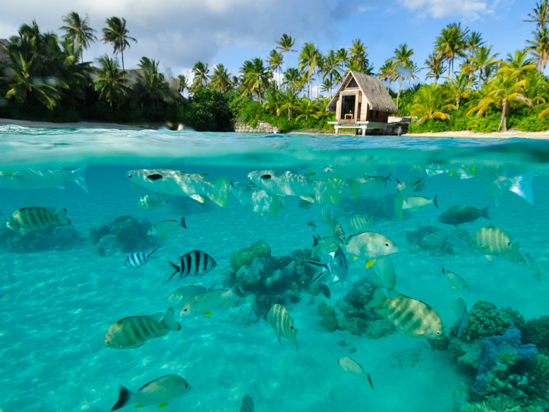 Flitterwochen Auf Bora Bora